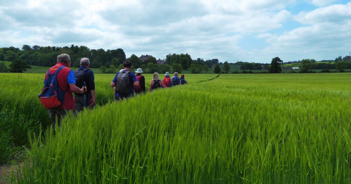 This walk is now CANCELLED: Bunyan Way - Cranfield to Stevington - Day ...