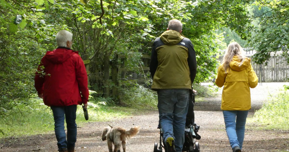 Hawkenbury circular walk - Ramblers