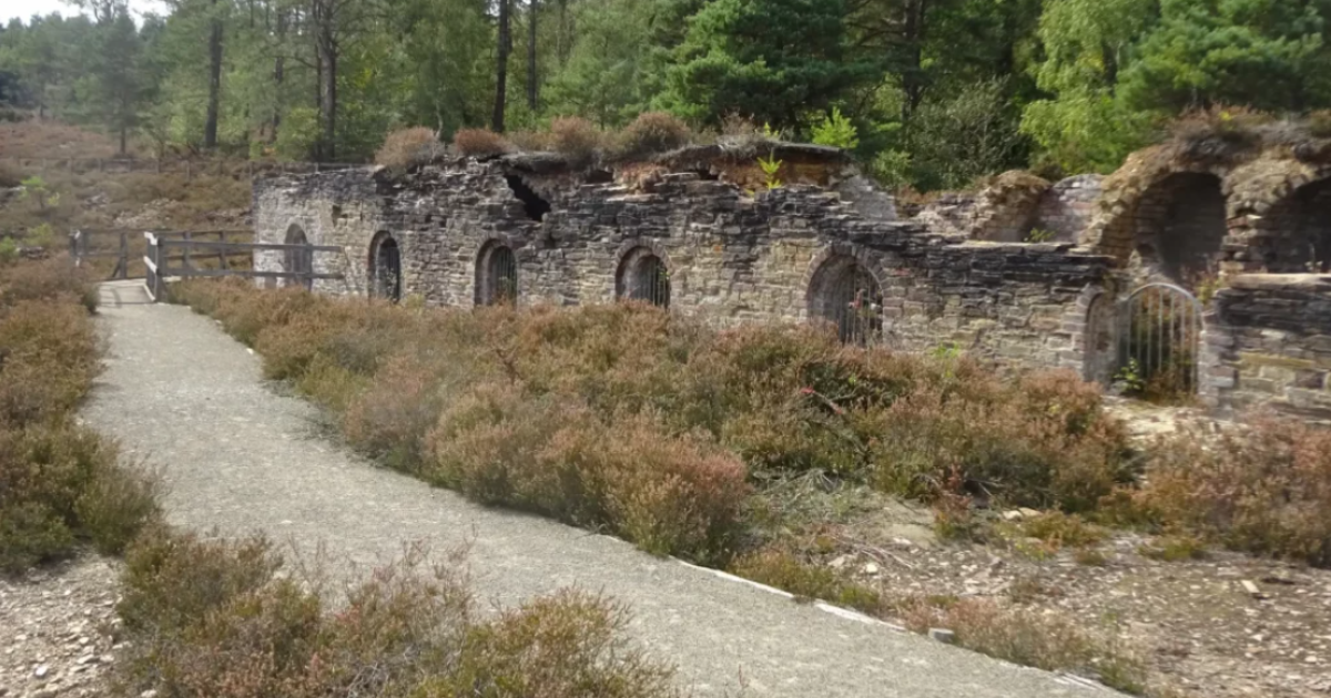 Tamr Trails - Devon Great Consols