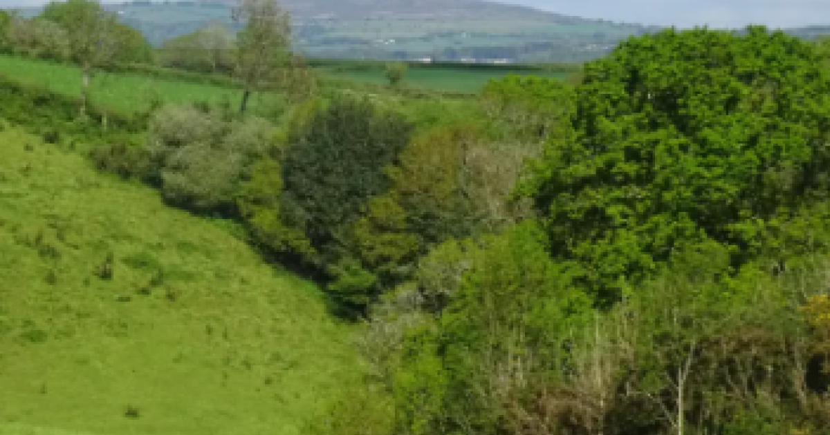 Bere Alston/Tuckermarsh Quay Circular
