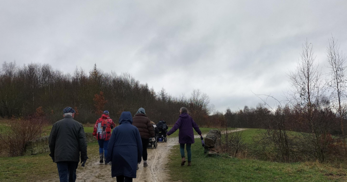Phoenix Park Wellbeing Walk