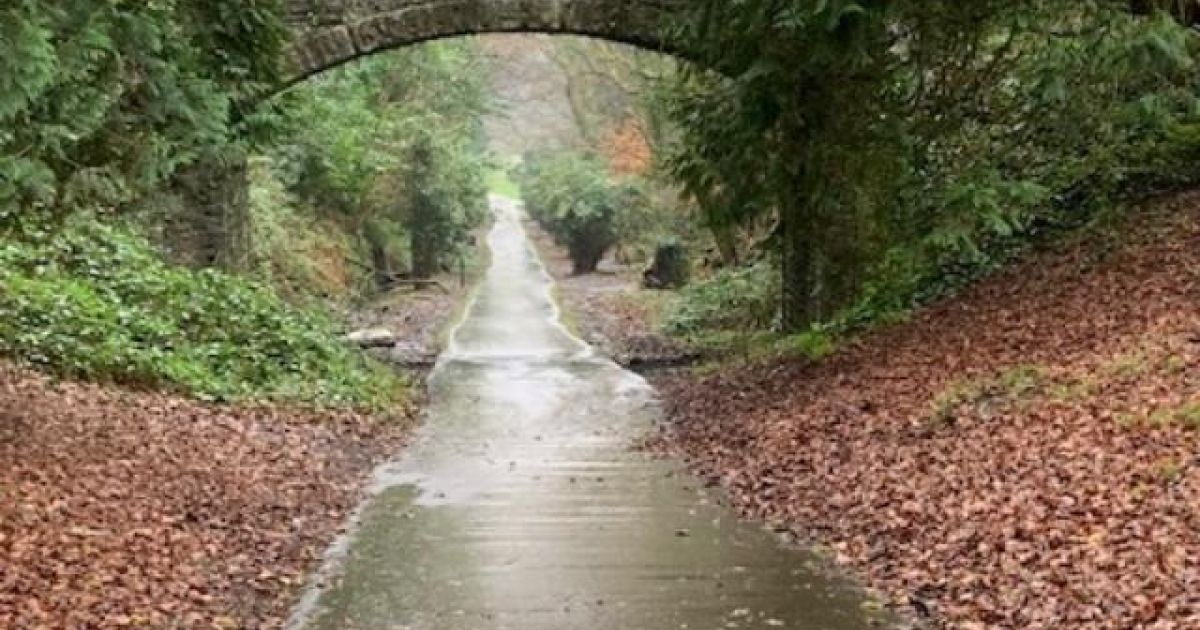 Jersey Park and Briton Ferry Forest - Ramblers