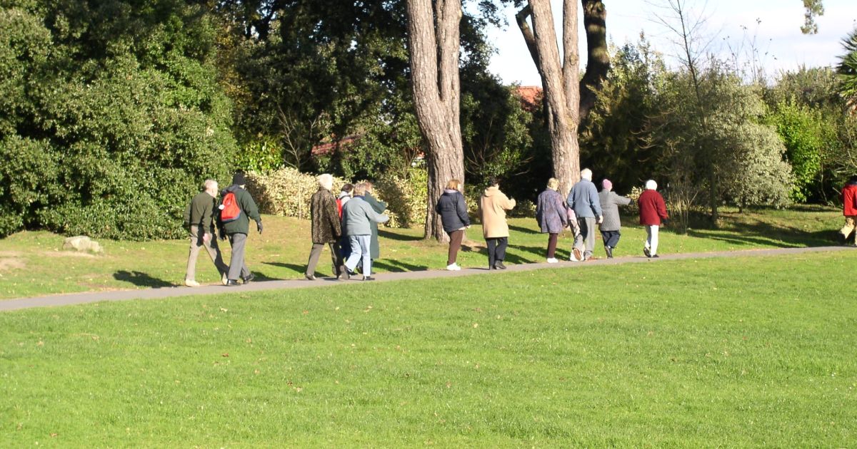 Wednesday Walk - Saumarez Park