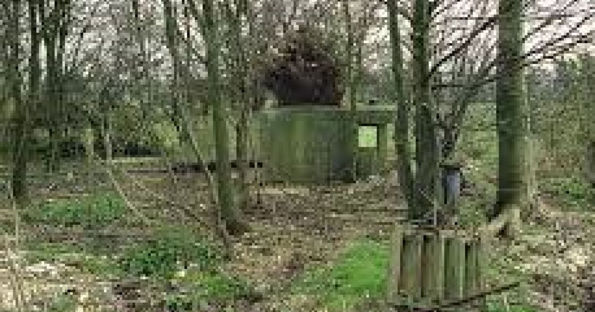 Bramdean Common circular - Ramblers