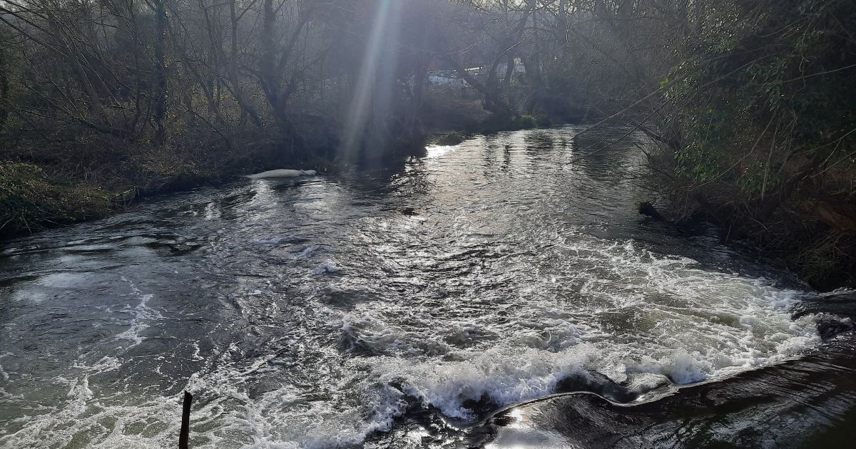 Rickmansworth Aquadrome Afternoon Walk: Lakes and Hillingdon Trail ...