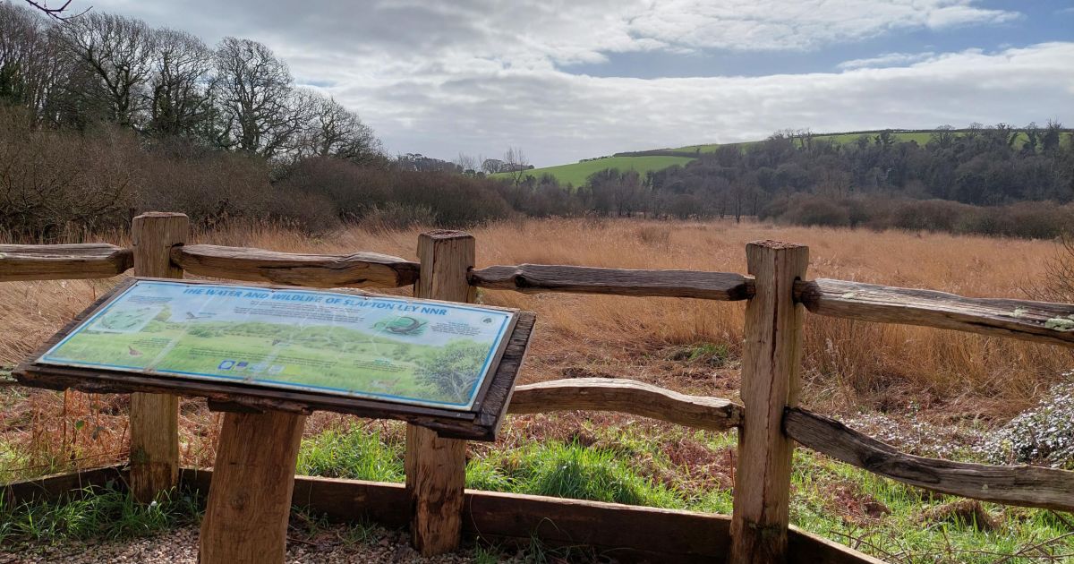 Stokenham Area - Ramblers
