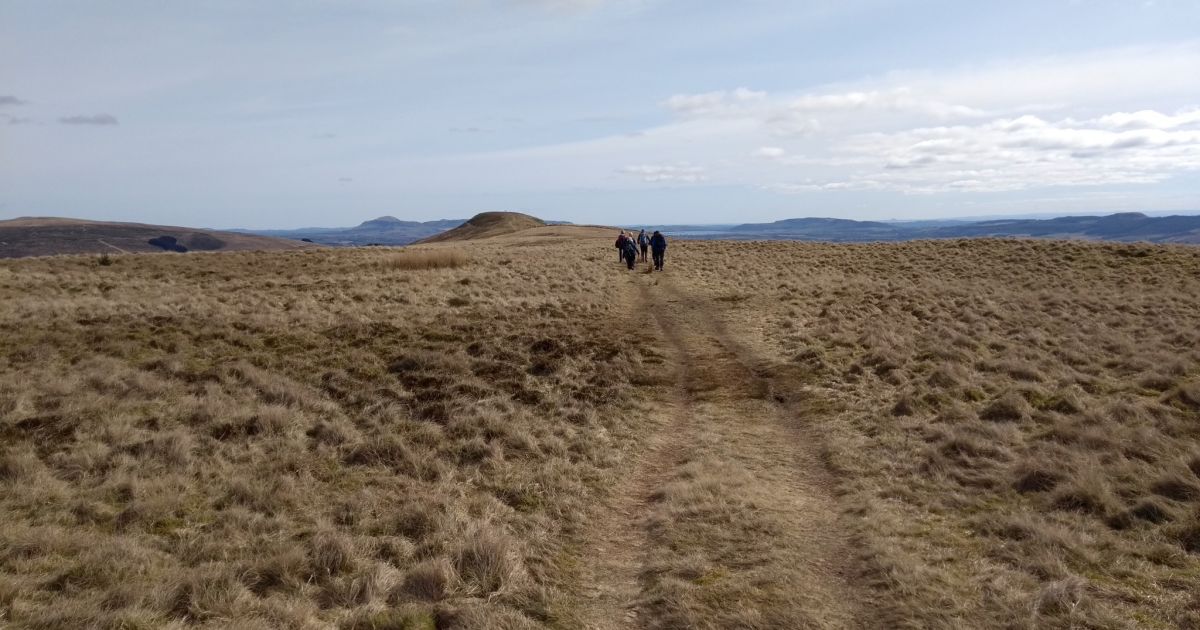 Three easy Ochils and Geordie’s Wood - Ramblers