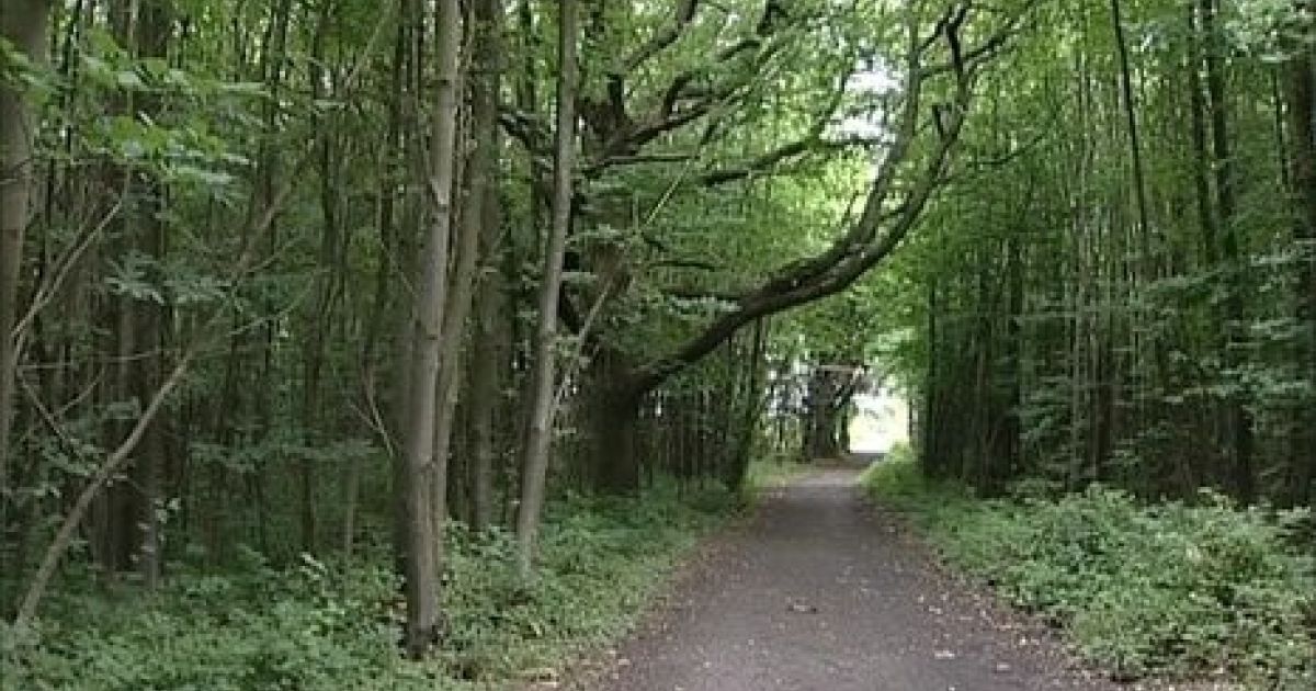Barming to East Malling Circular Walk - Ramblers