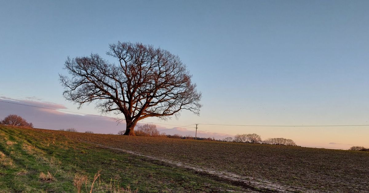 Braishfield circ. via Eldon and King's Somborne. - Ramblers