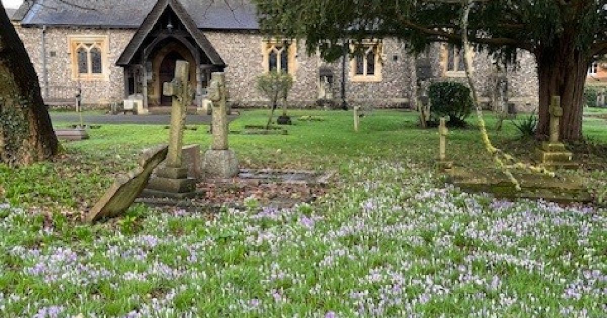 Cookham Dean Common and Bisham Woods - Ramblers