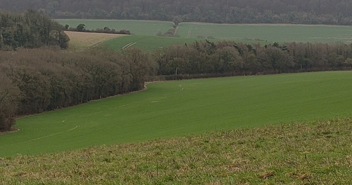 WHITEWAYS LODGE - Ramblers