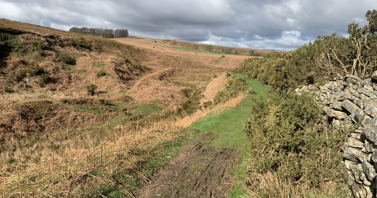 Reservoir Round, Penycae - Ramblers