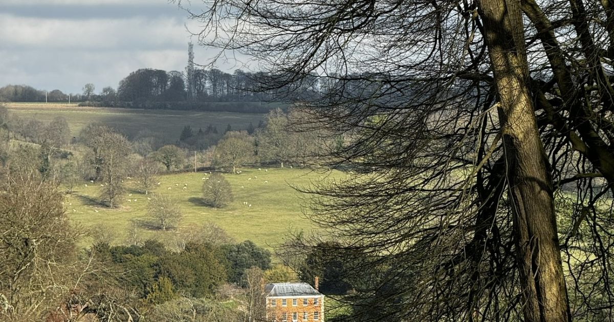 Swyncombe Downs & Ewelme Park - Ramblers