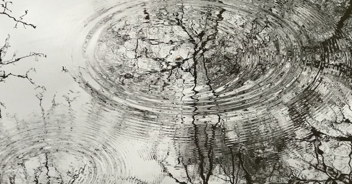 Chobham Common - Ramblers