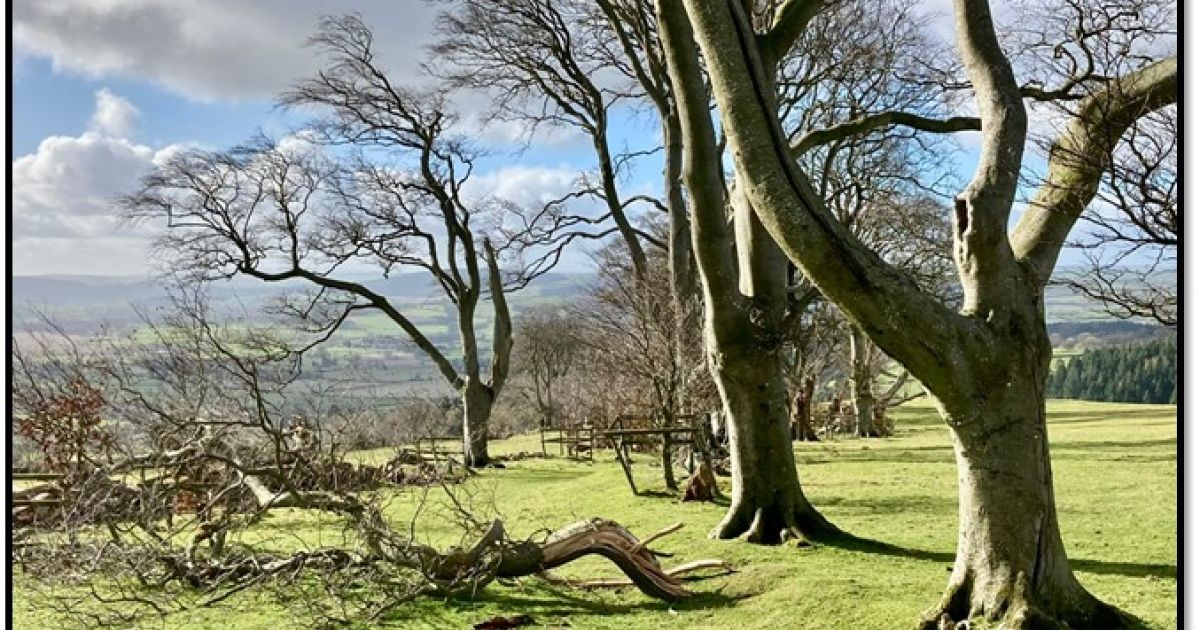 Stiperstones and Linley area - Ramblers