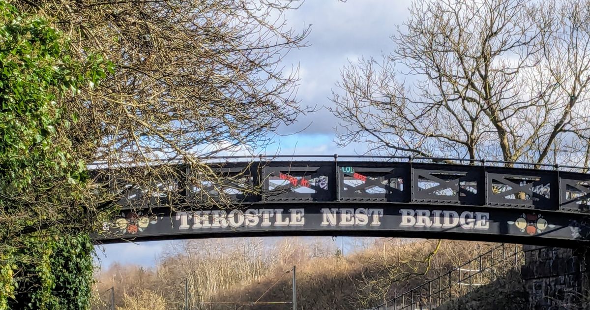 NEW WALK: Bridgewater Canal and Water Parks to City Centre - Ramblers