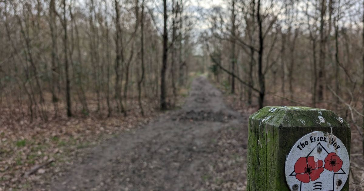 Essex Way Part V - White Notley to Great Waltham - Ramblers