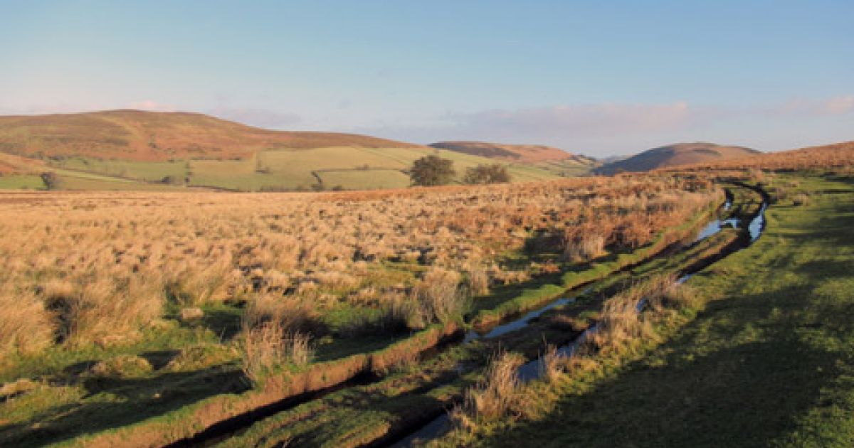 Ireland Moor, Bryngwyn Hill, Allt Dderw & Red Hill - Ramblers