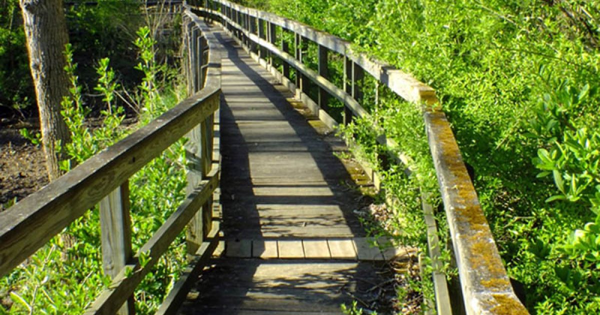 Short Walk: Bournville to Ley Hill, via Manor Farm - Ramblers