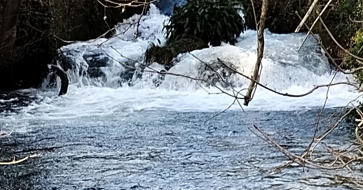 Twyford Circular - Ramblers