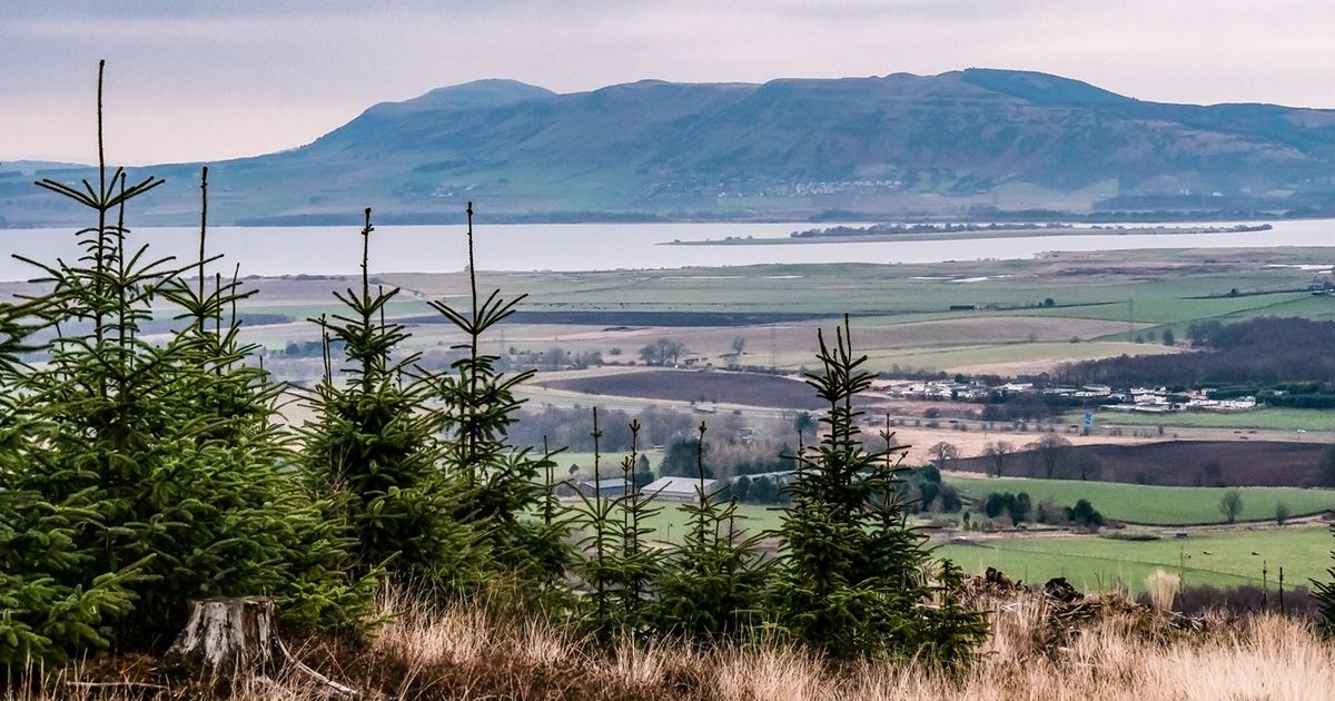 Blairadam Forest - Ramblers