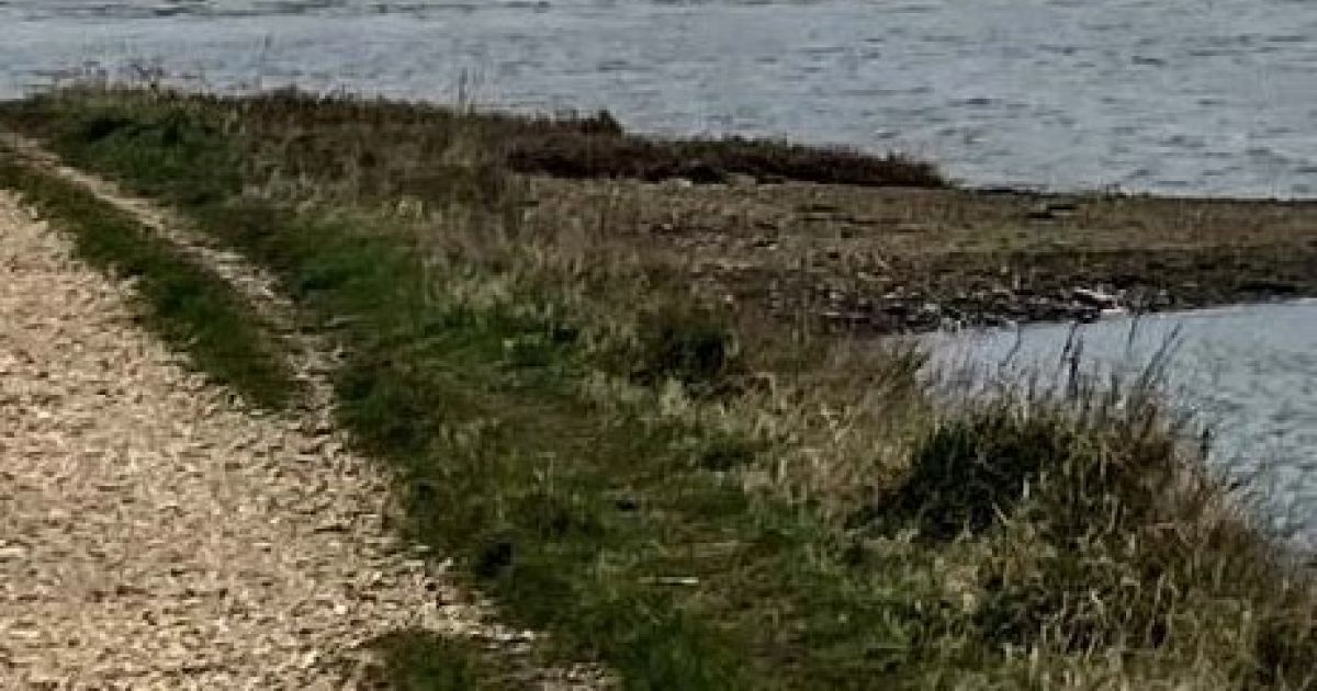 Solent way Circular Alternative walk added from Compton. - Ramblers