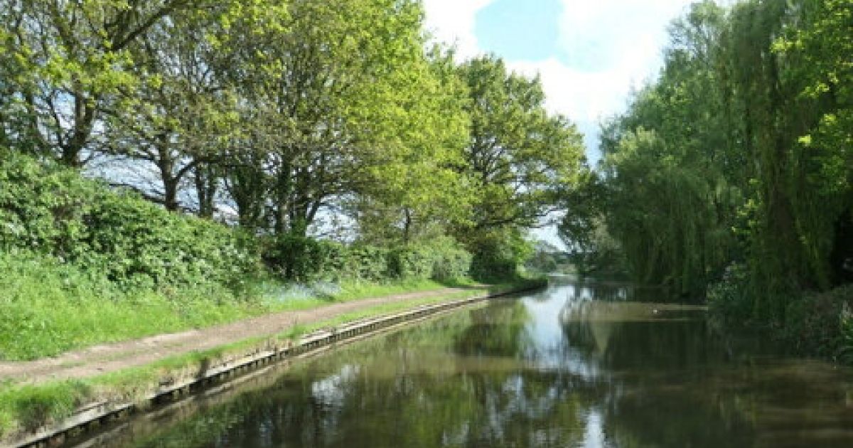 Whittington and Hopwas Woods (Lichfield, Staffordshire) with Robert ...