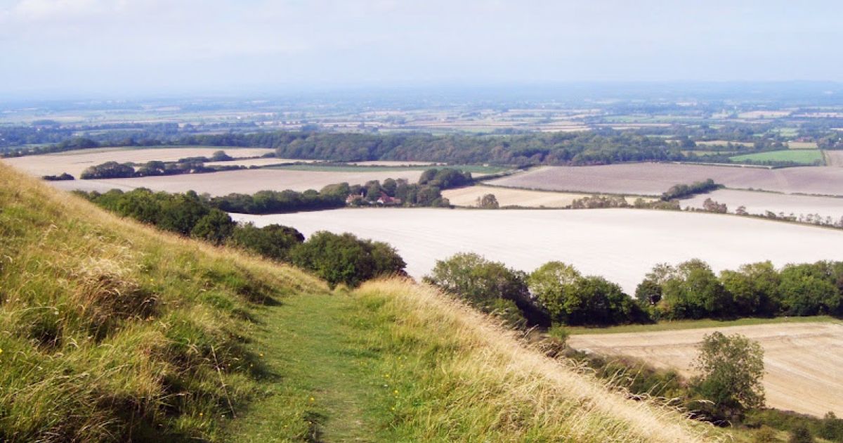 Ranmore Circuit - Ramblers
