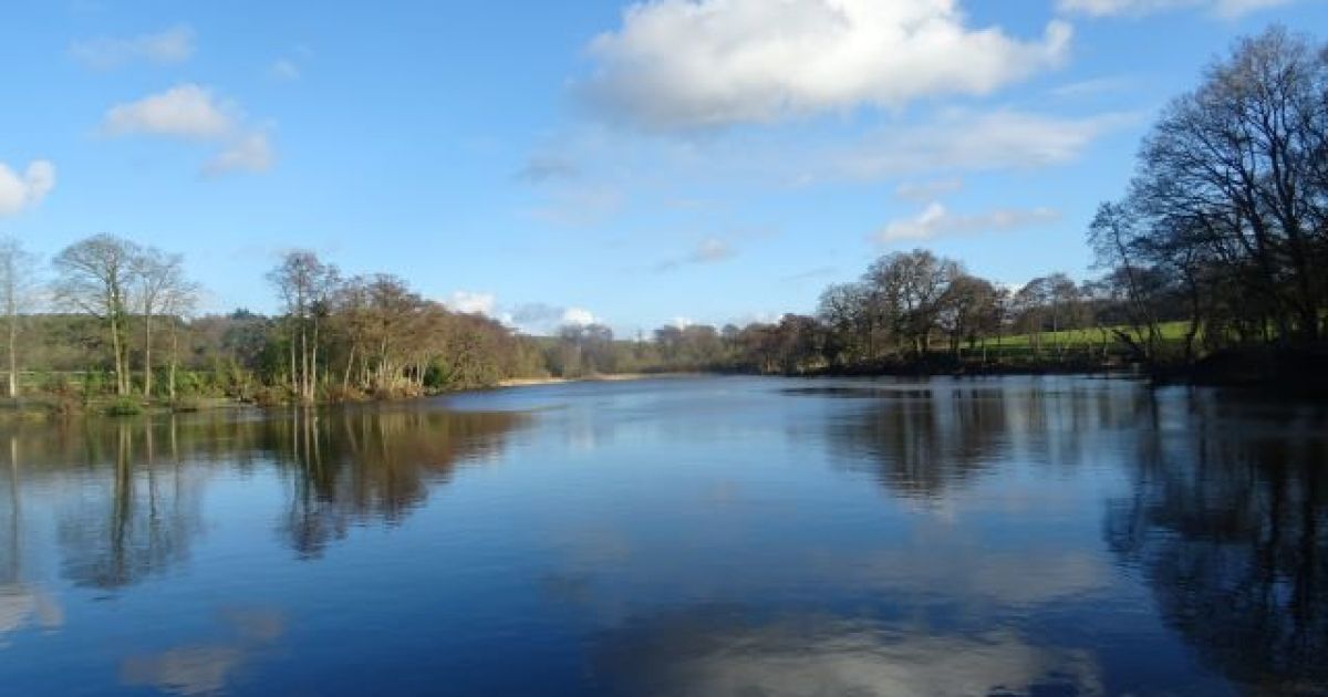 Stourbridge Railway walk - Ramblers