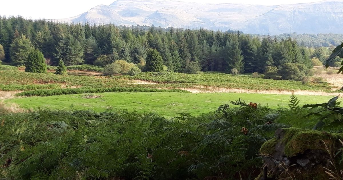 Mugdock and Dougalston Loop - Ramblers