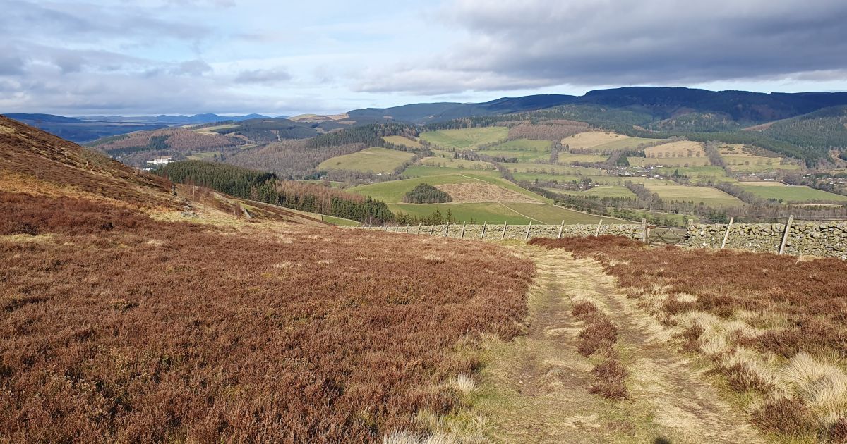 Cardrona to Peebles, via Cardrona Forest and the Drover's road - Ramblers