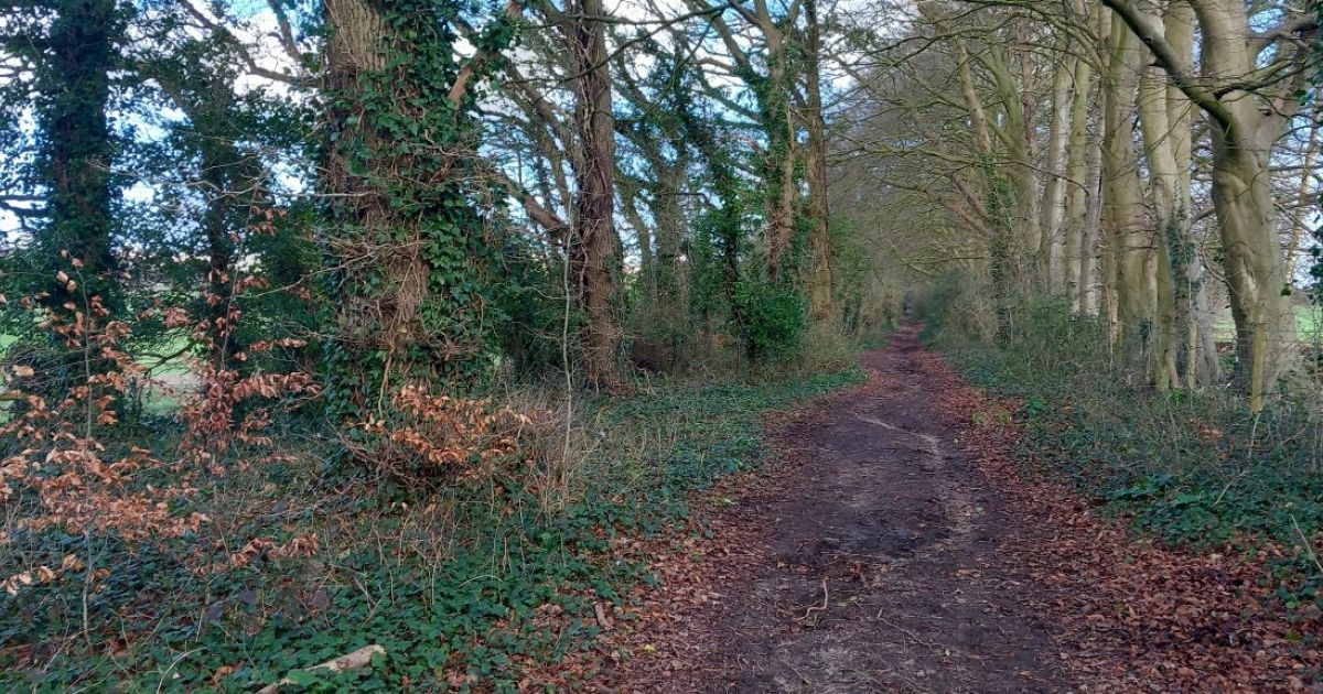 Olivers Battery circular via Silkstead and Compton Down - Ramblers