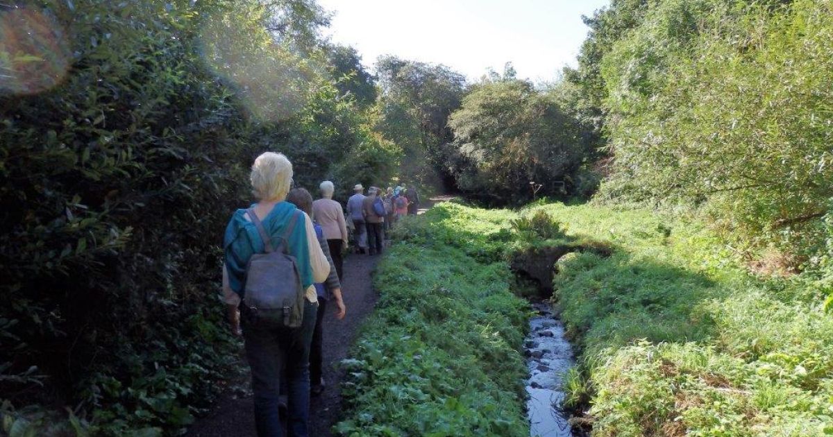 St George Strollers - Hanham Mount and Magpie Bottom - Thursday 11th April