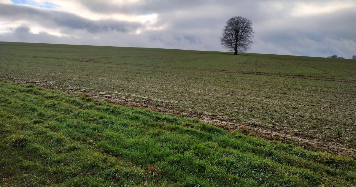 Friday 4 miler Braishfield circular - Ramblers