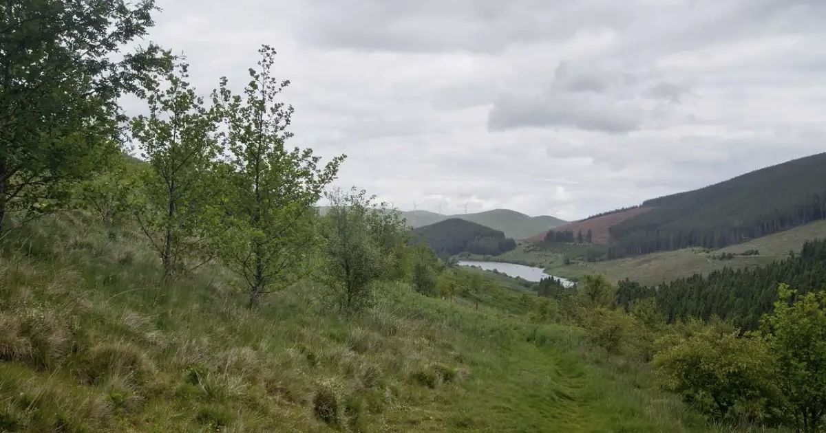 Ben Shee Circular - Ramblers