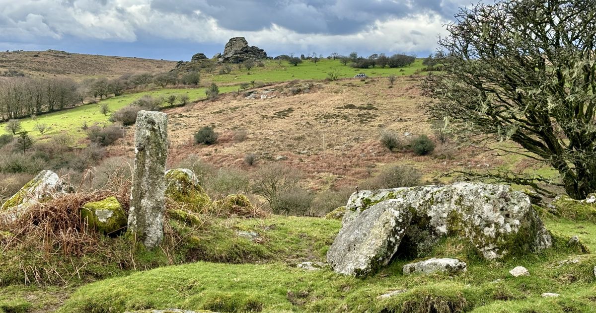 Pork Hill to Sampford Spiney - Ramblers