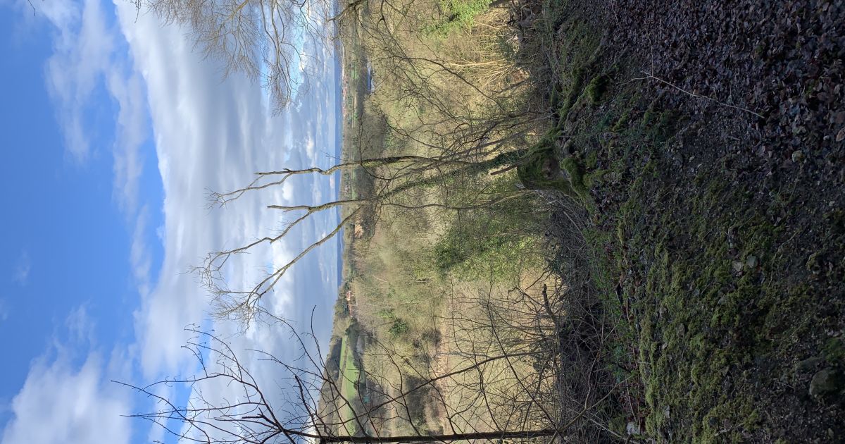 Dancersend Nature Reserve and Pavis Woods Bluebell walk - Ramblers