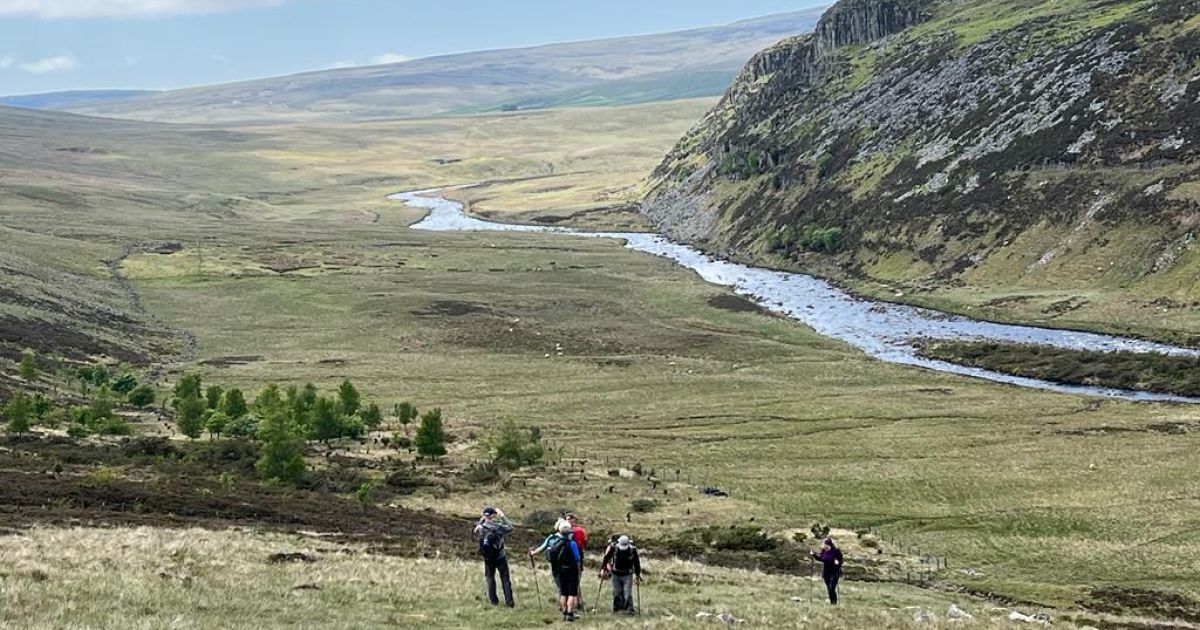 Wednesday Boulevard Coach - LANGDON BECK