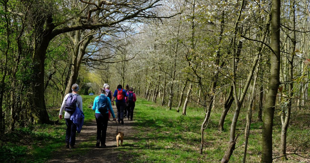 Harvington and the Lenches - Ramblers