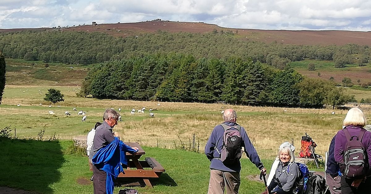 An extra leisurely walk from Hay Wood car park, Longshaw - Ramblers