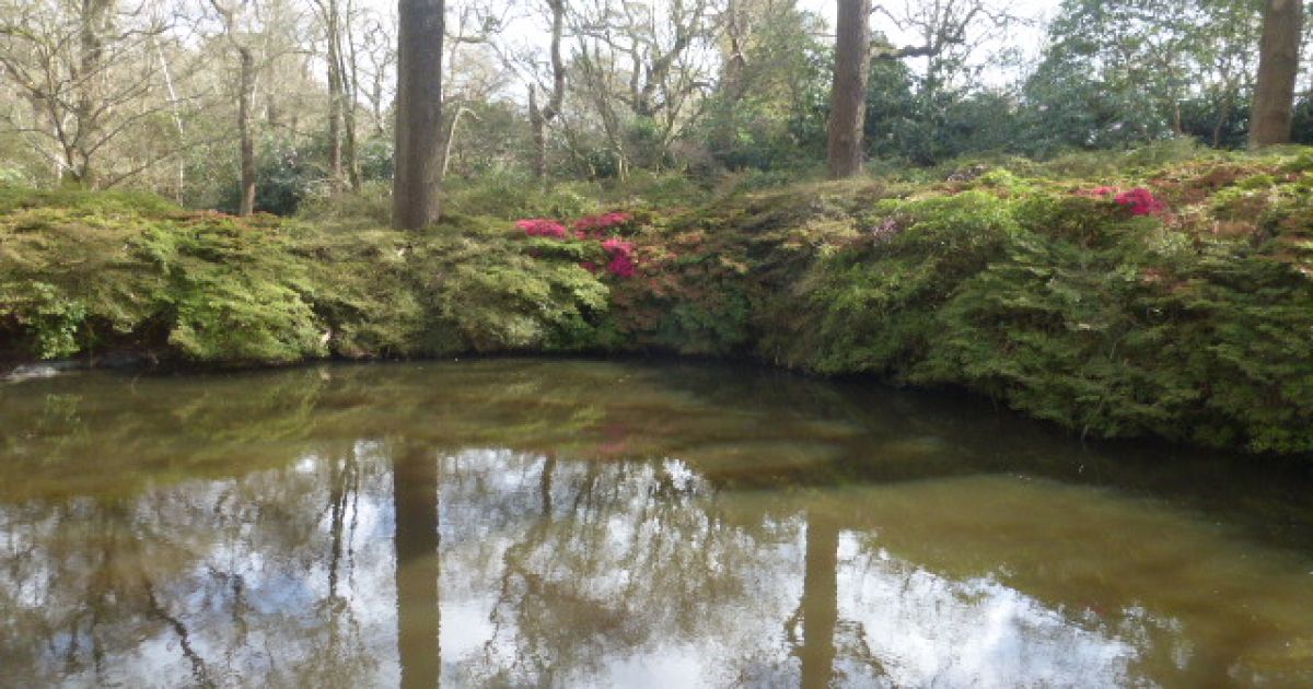 A Linear Walk from Wimbledon to Richmond - Ramblers