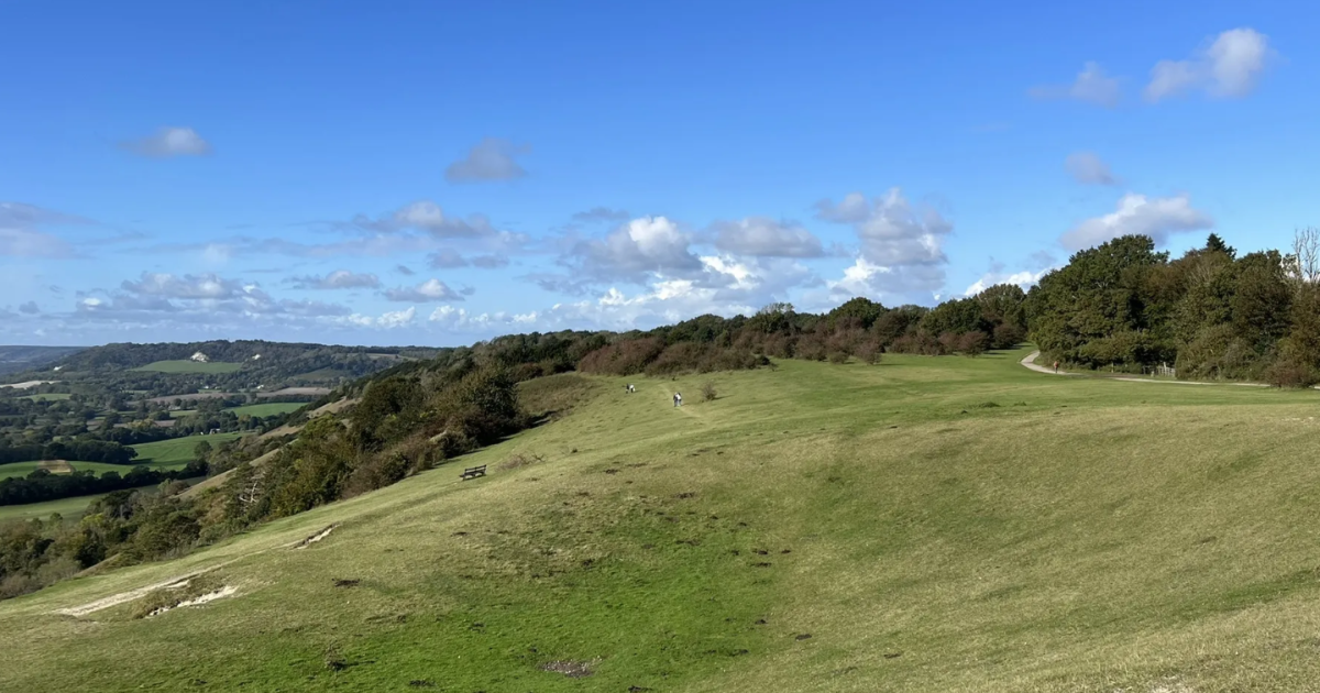 Mark G’s Gatton Park and Reigate Hill 8.5 mile circular - Ramblers