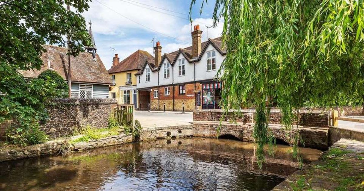 Shere Beauty - Ramblers