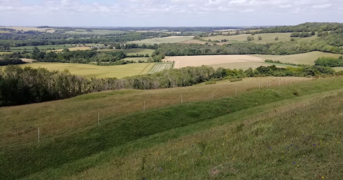 11.7mile walk from West Meon to Beacon Hill & Old Winchester Hill ...
