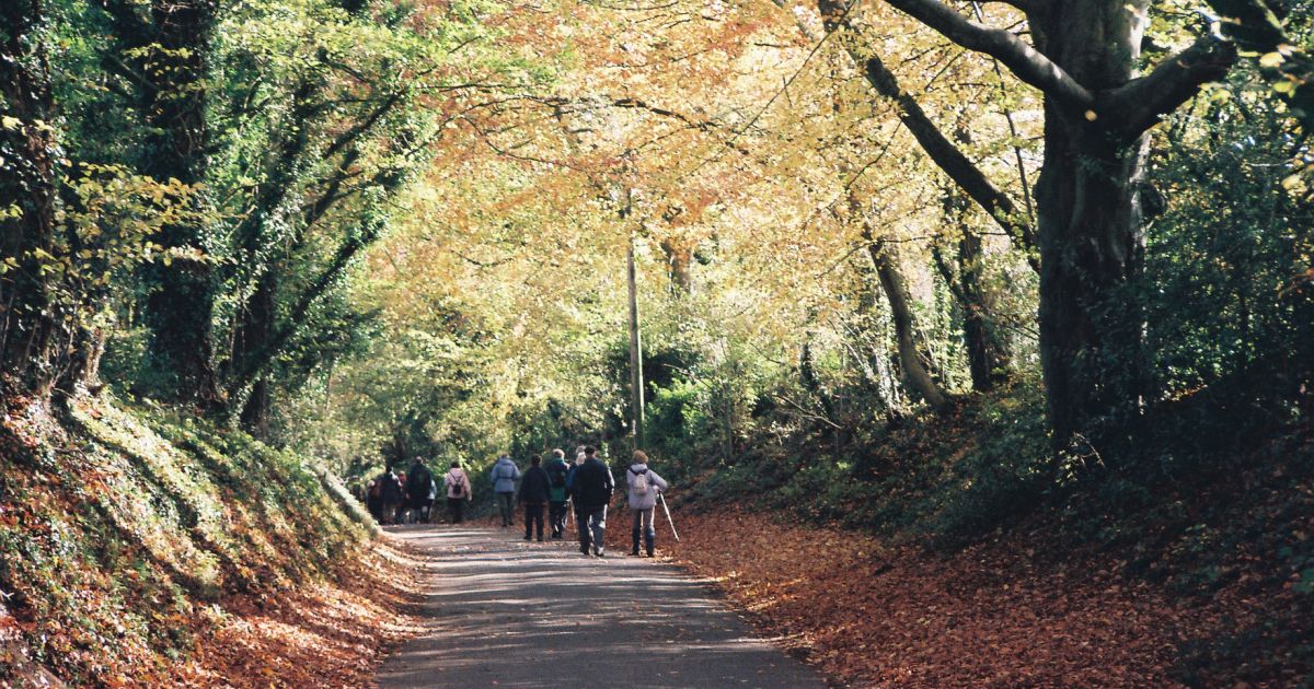 West Meon - Ramblers