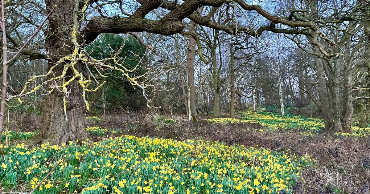 Rail Trails Walk: Cole Green Way & Panshanger Park (10.5 miles / 17km ...