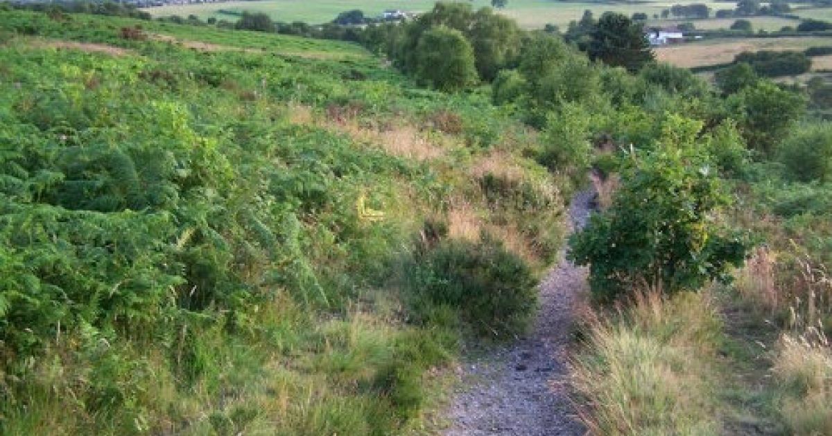 Castle Ring to Lichfield linear with Judith and Viv - Ramblers