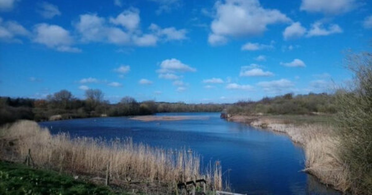 Sandwell Valley (Hamstead, West Midlands) with Peter - Ramblers