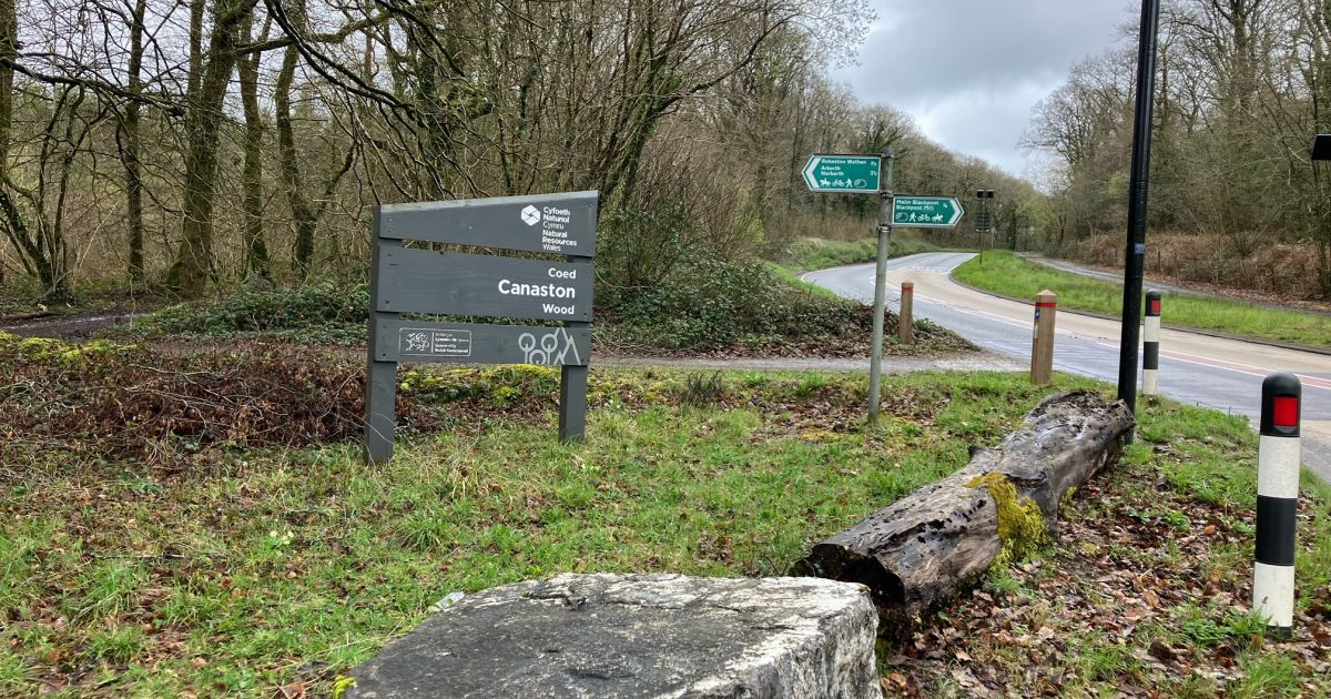 Canaston Wood Meanderings - Ramblers