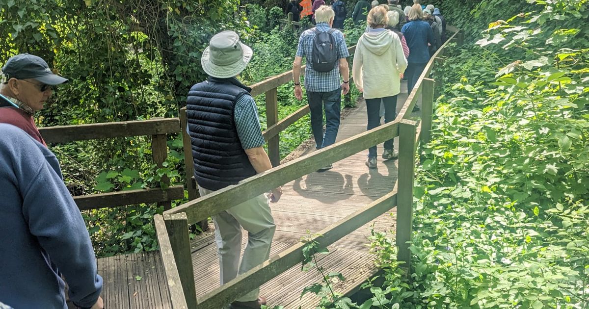 Kingley Vale Nature Reserve